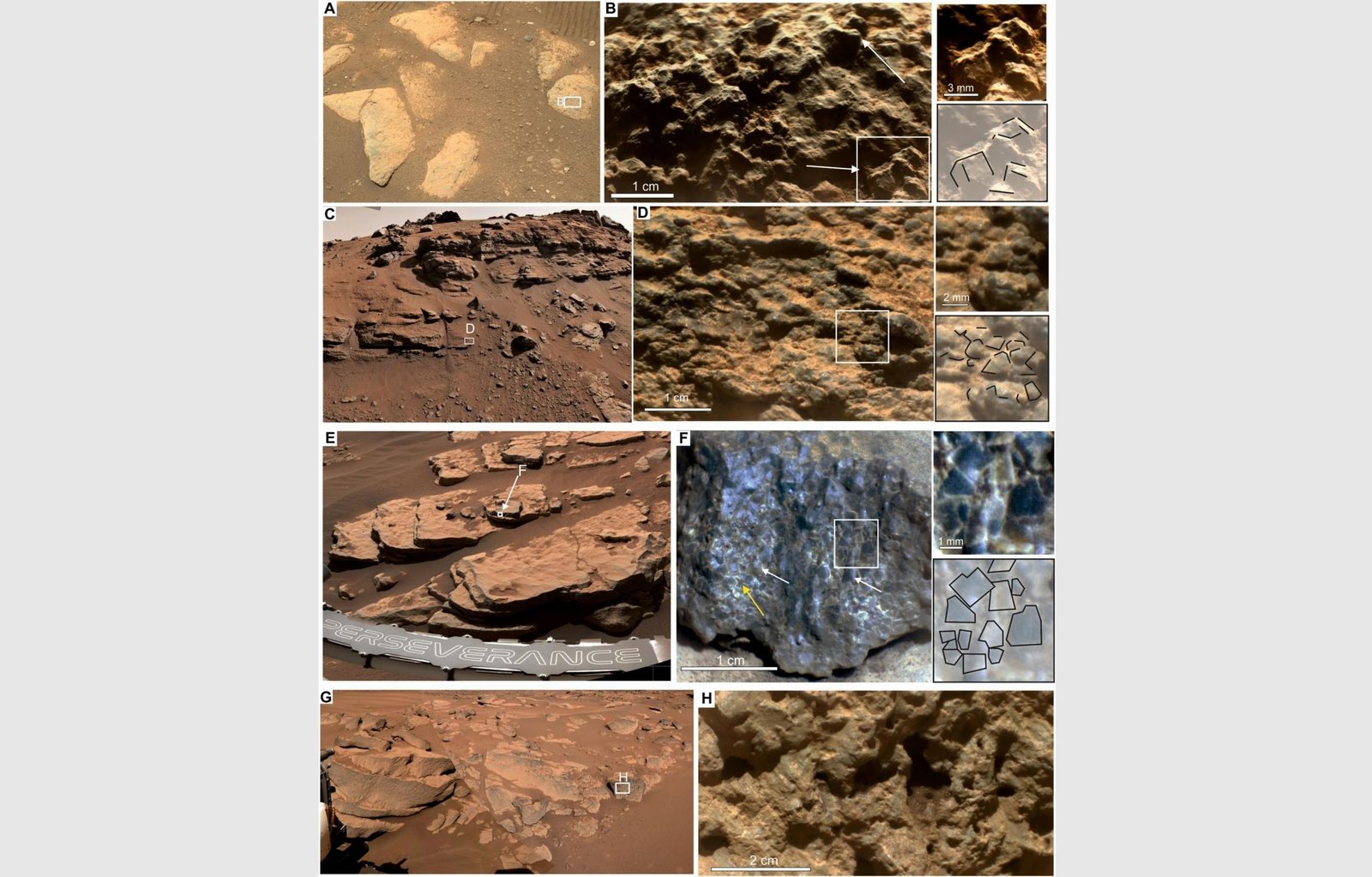 Mars Has Dark Green Landscape Too, Discovers NASA Rover - IndiaWest News