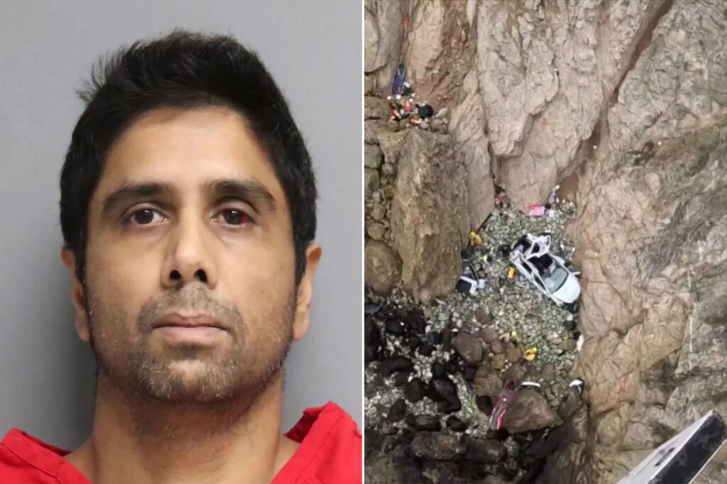 Dr. Dharmesh Patel Who Drove Tesla Off Cliff Loses License - IndiaWest News