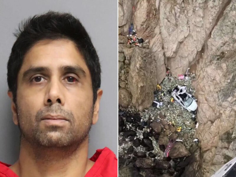 He Tried To Kill Us Says Wife Of Tesla Driver Dr. Dharmesh Patel
