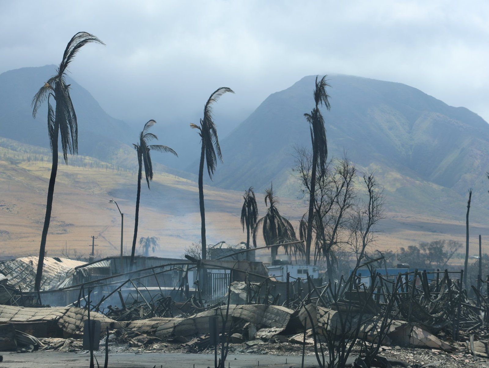 Maui Wildfire Deadliest In Century As Deaths Near 100 - IndiaWest News